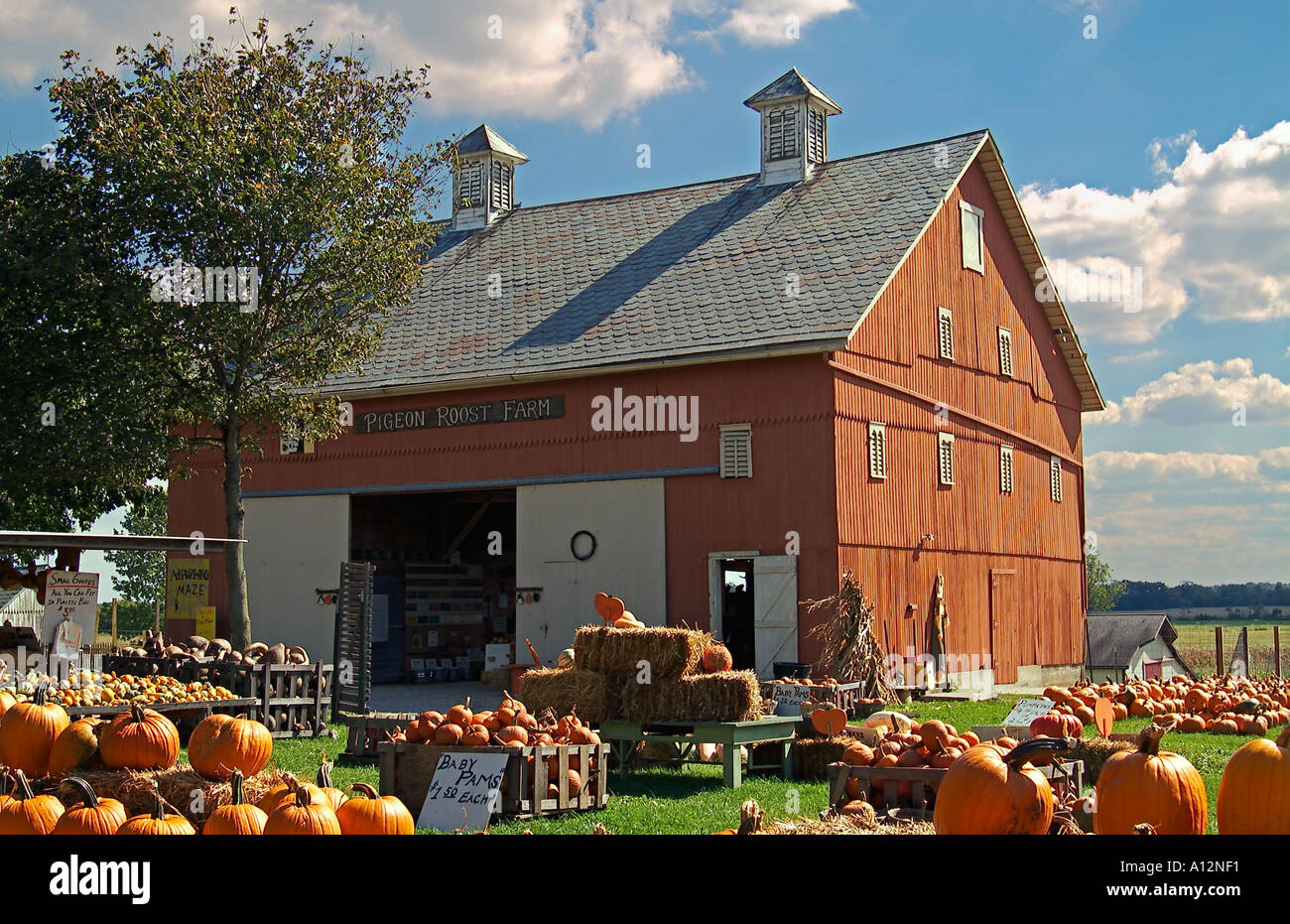 Orange barn with pumpkins on Route 40 that National Road Stock Photo ...