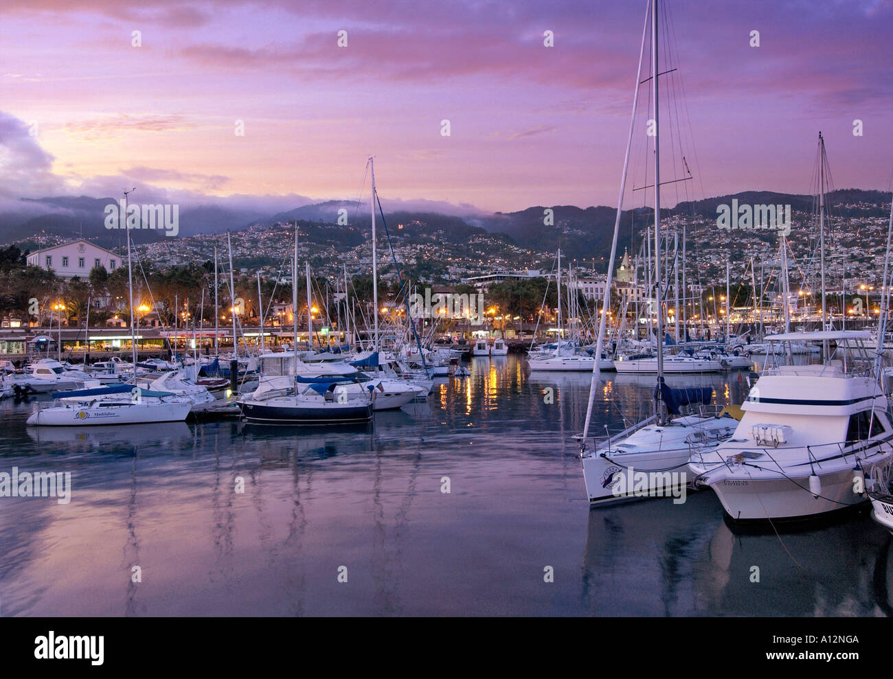 Portugal, Madeira island, Funchal marina at dusk Stock Photo - Alamy