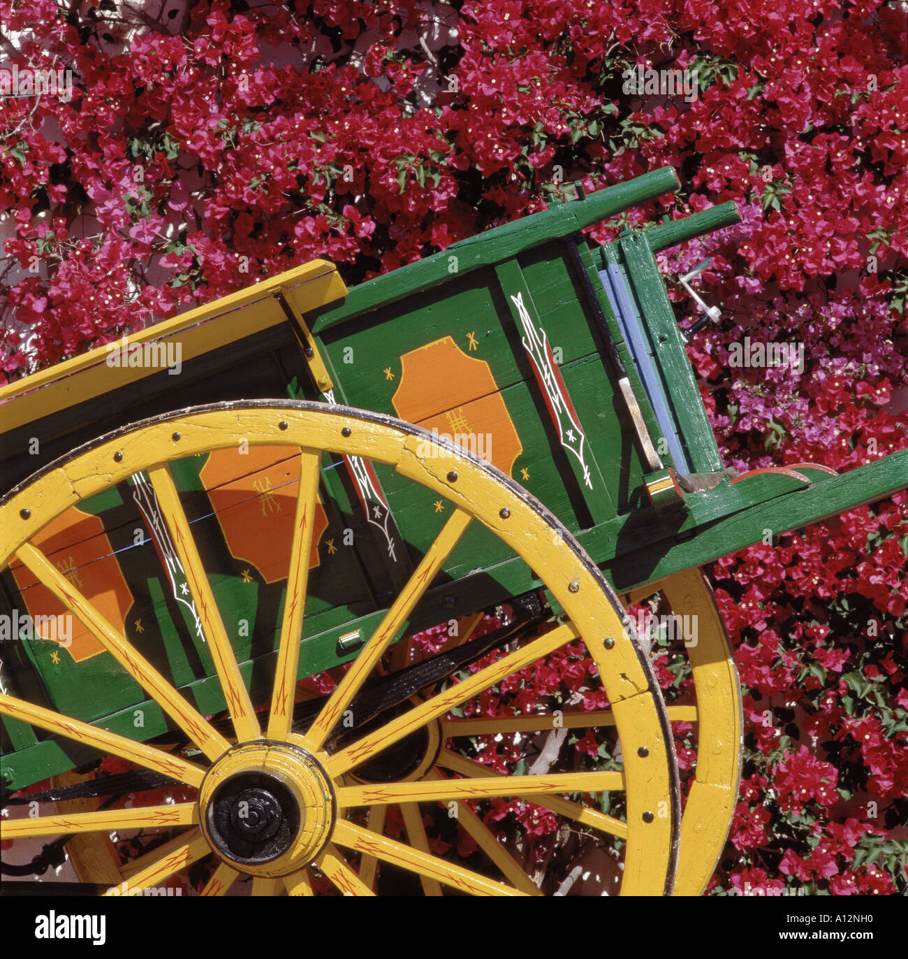 Portugal the Algarve brightly painted cart by bougainvillaea flowers ...