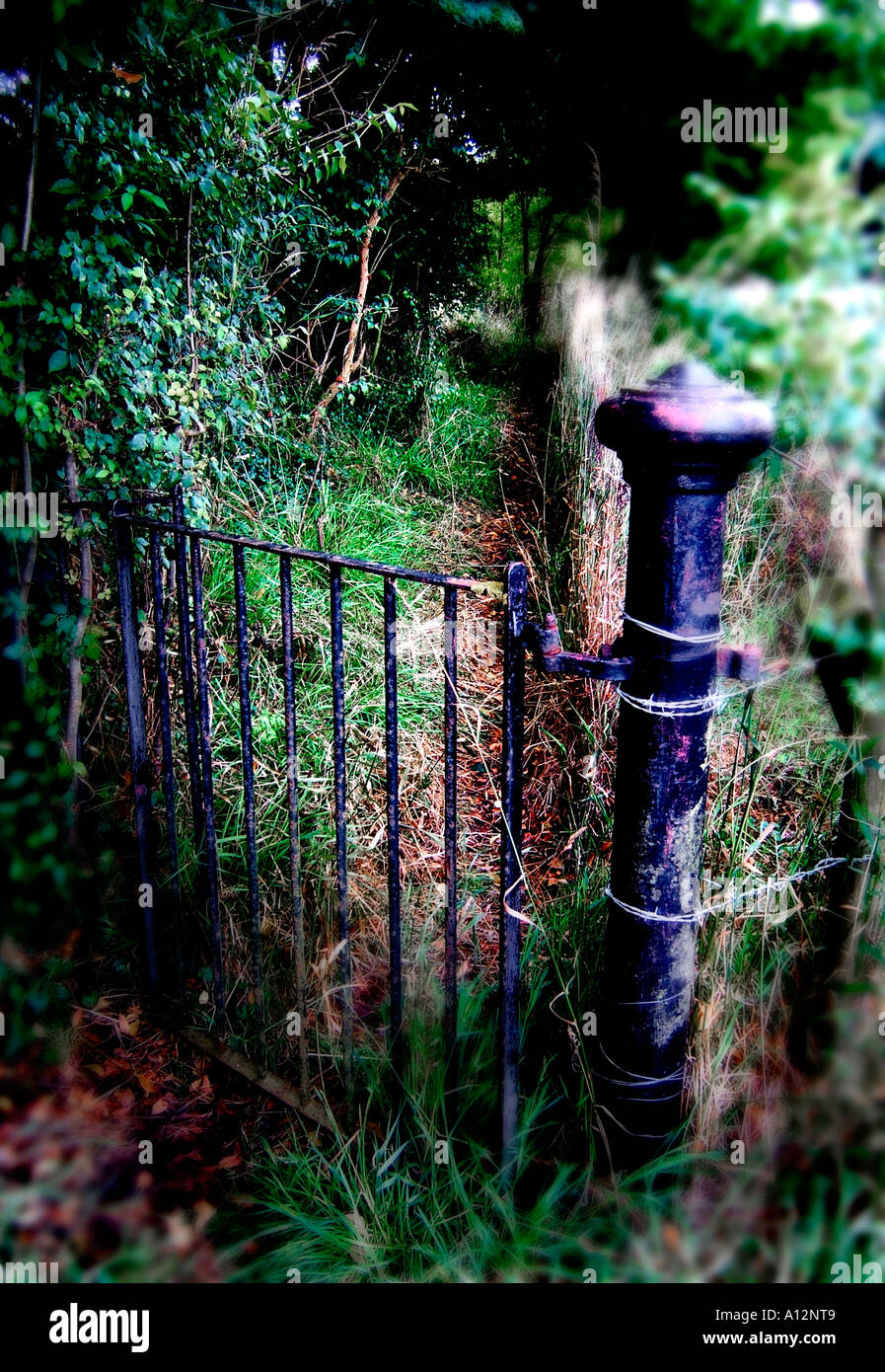 iron gate in country path Stock Photo - Alamy