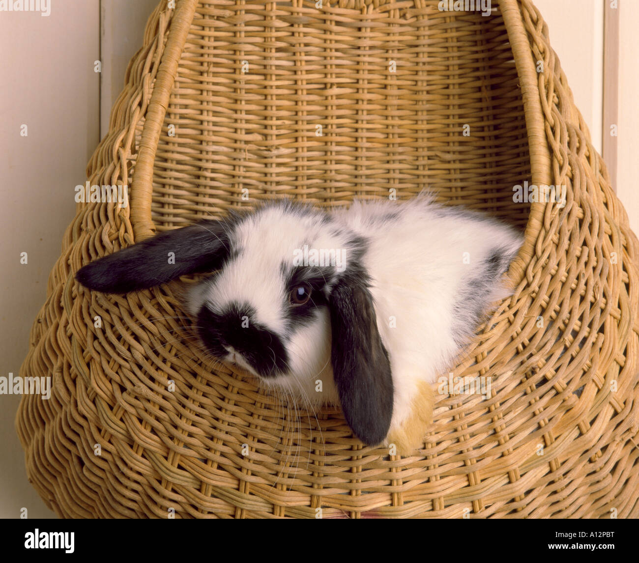 Mini wk hi-res stock photography and images - Alamy