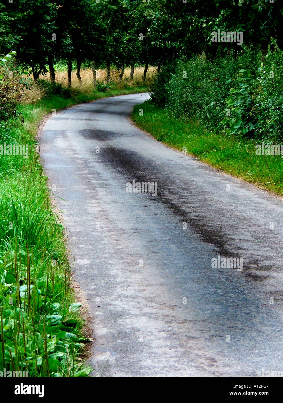 deserted country road Stock Photo - Alamy