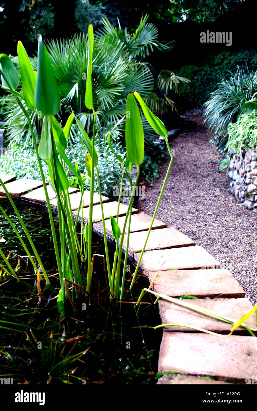 Pond edging hi-res stock photography and images - Alamy