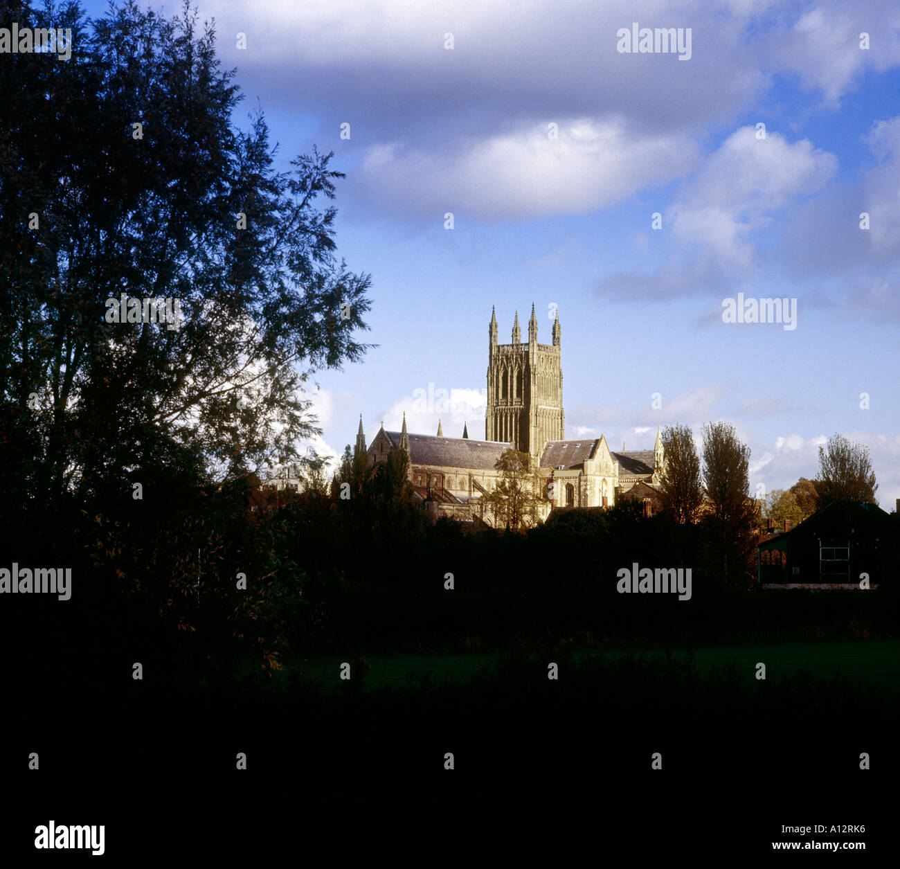 Worcester Cathedral from "Chapter Meadows" a nature reserve managed by ...