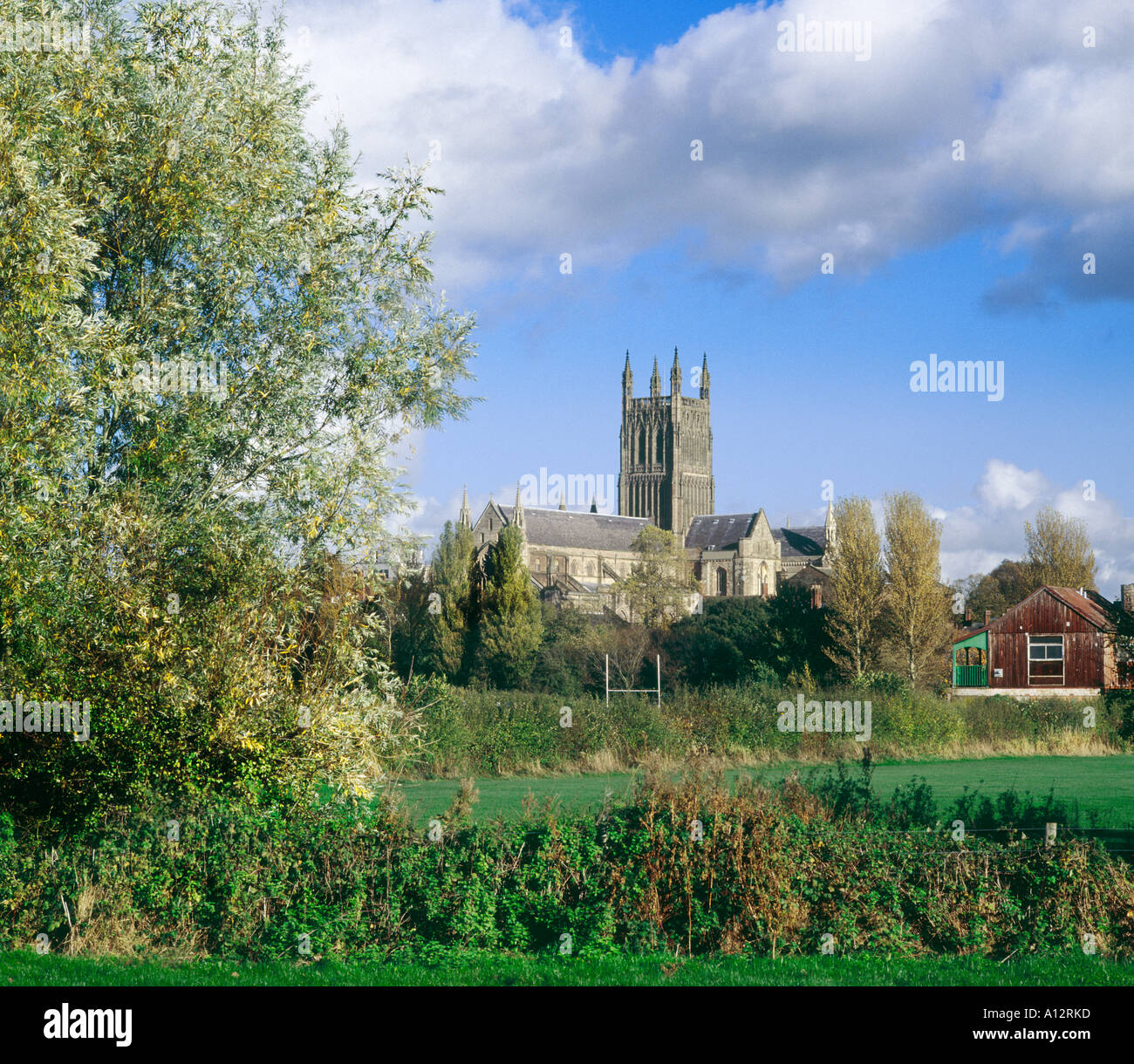Worcester Cathedral from "Chapter Meadows" a nature reserve managed by ...