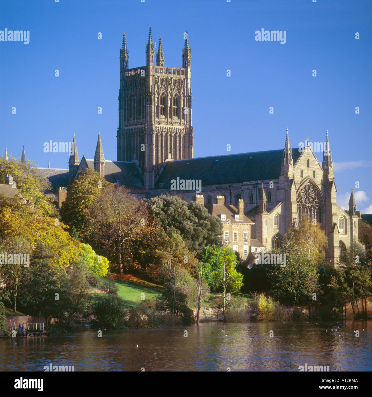 Worcester Cathedral and River Severn in autumn Worcestershire England ...
