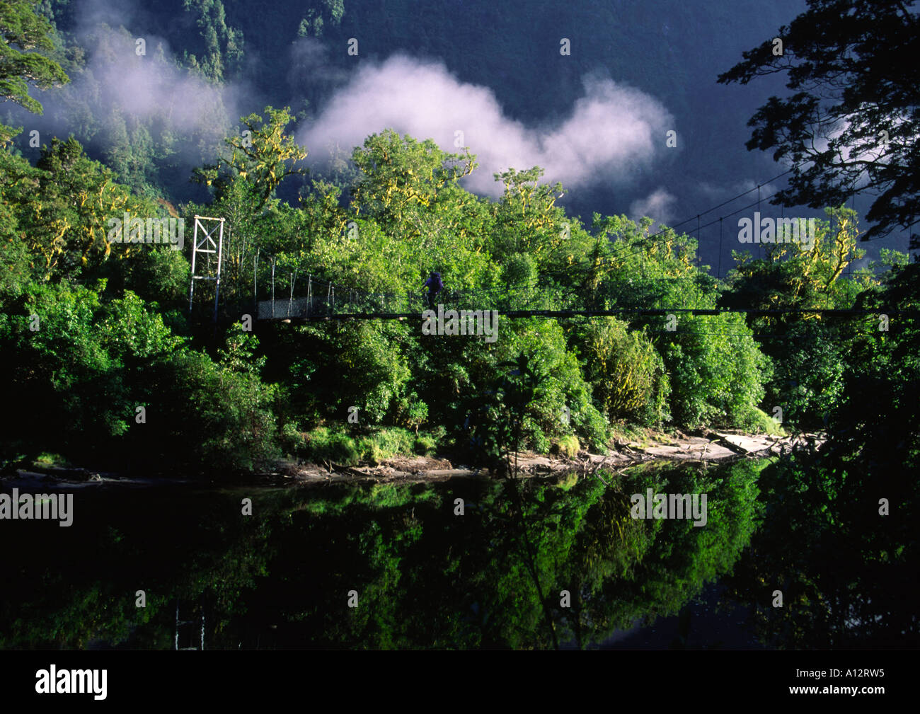 Bridge, Milford Track Stock Photo - Alamy