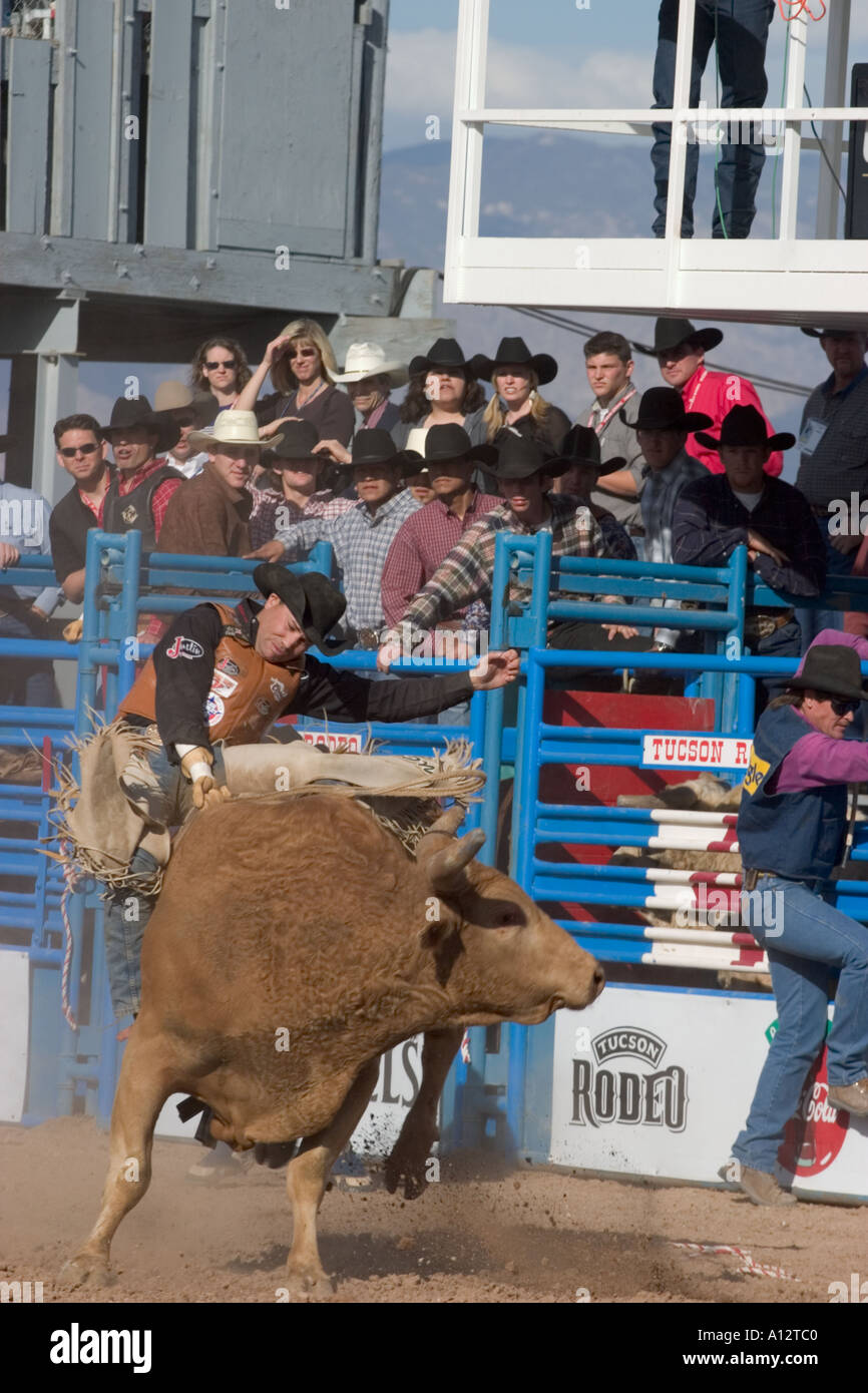 Pro bull riding hi-res stock photography and images - Alamy