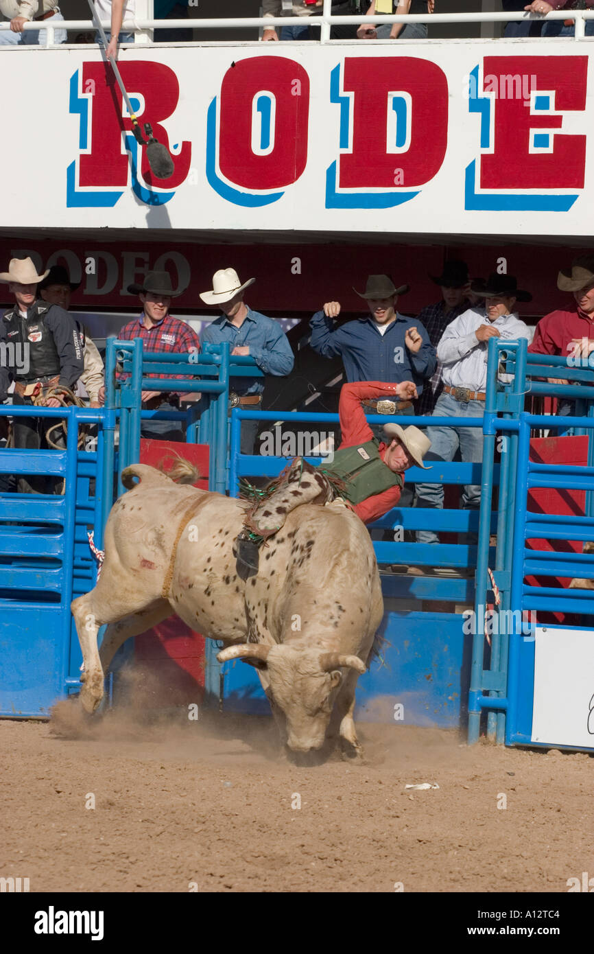 Bull riding sign hi-res stock photography and images - Alamy