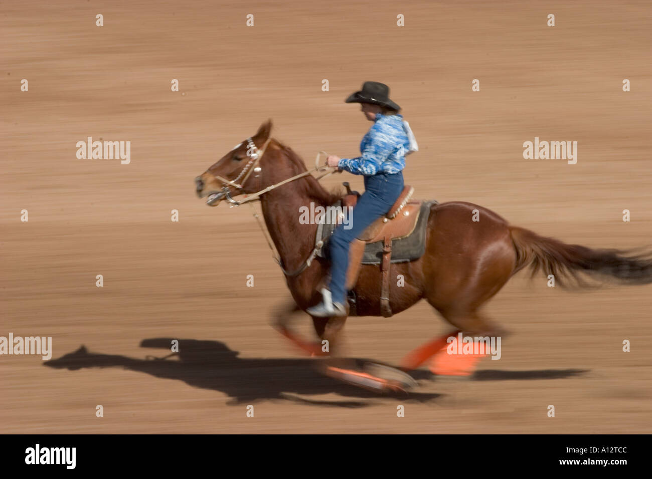 Barrel Racer High Resolution Stock Photography and Images - Alamy
