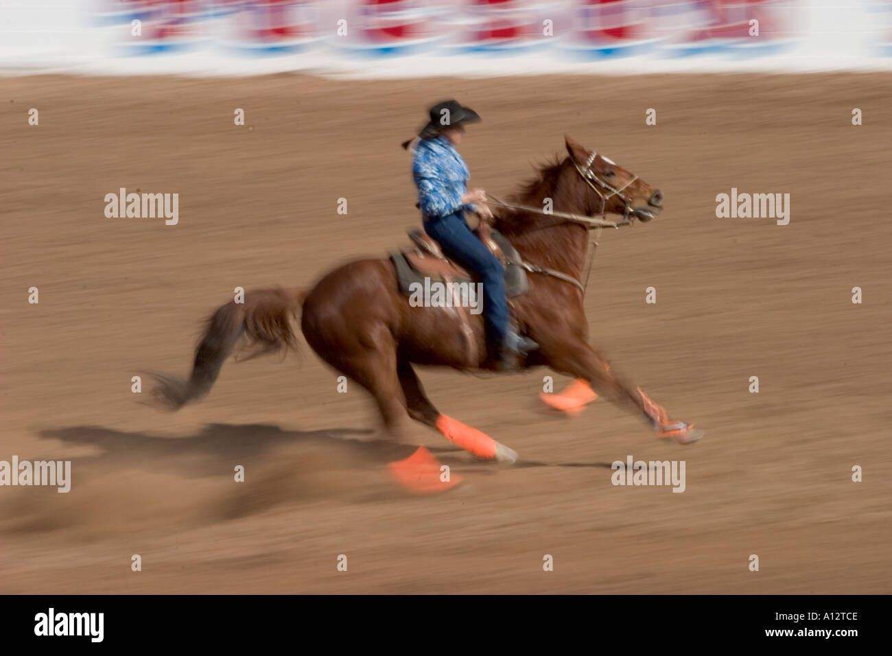 Tucson Rodeo barrel racer cowgirls Stock Photo - Alamy