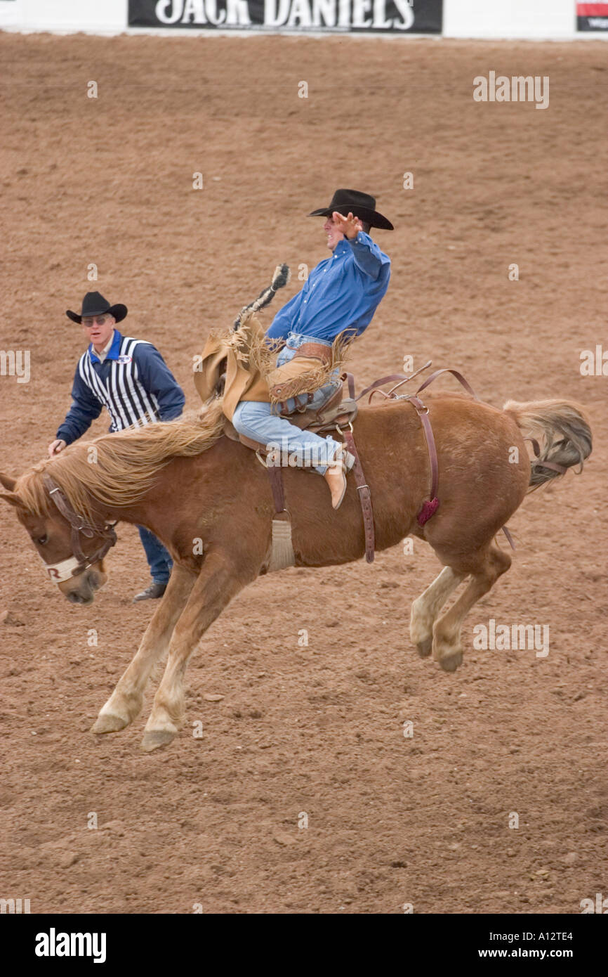 Rodeo riders in a competition Stock Photo - Alamy