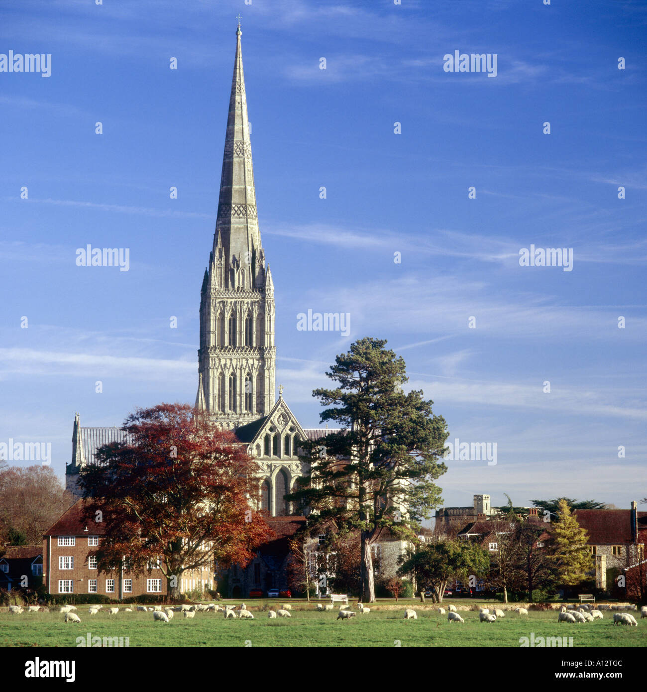 Salisbury Cathedral in autumn evening light seen from the water meadows ...
