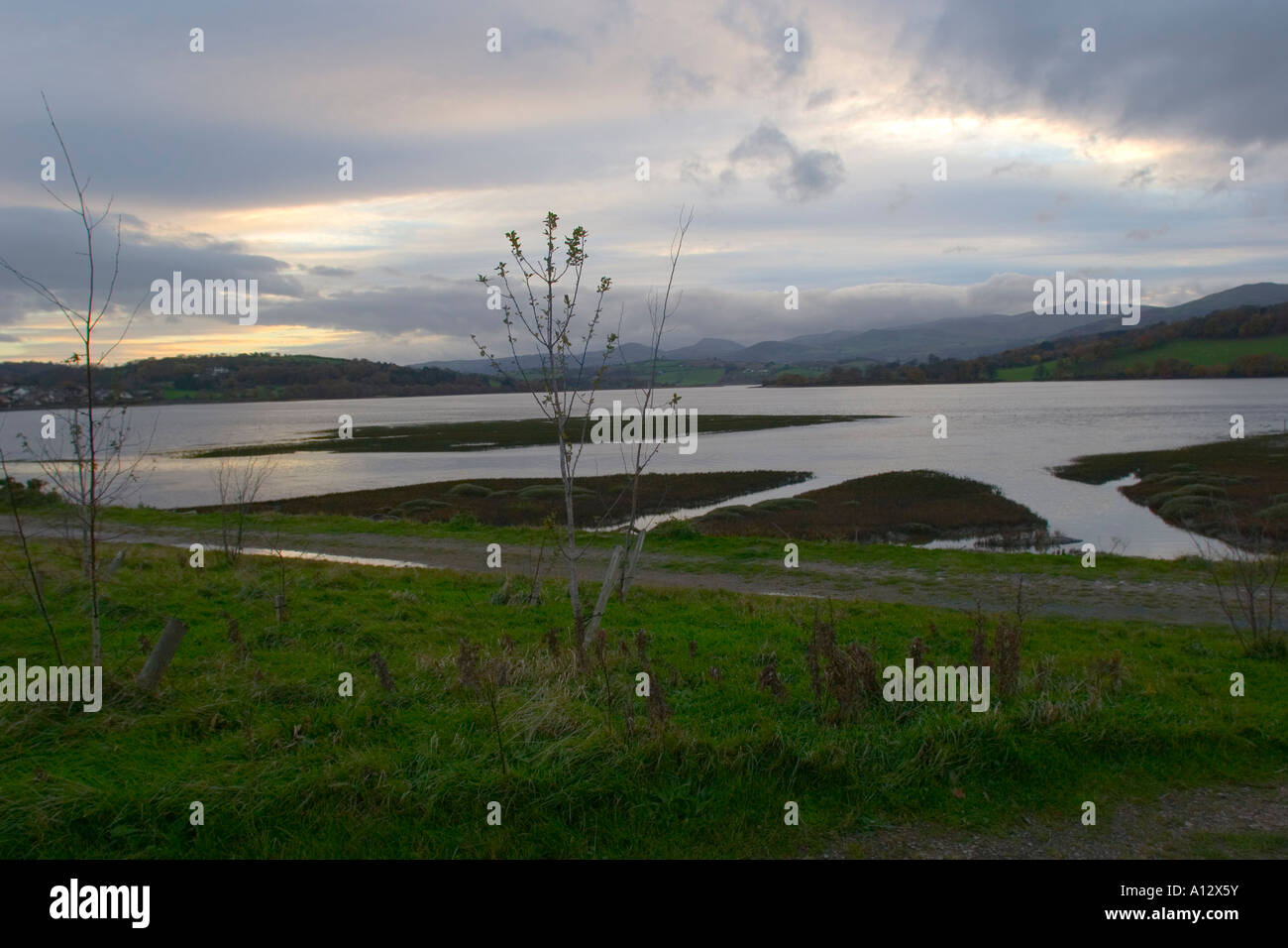 Conwy, North Wales RSPB reserve Stock Photo - Alamy