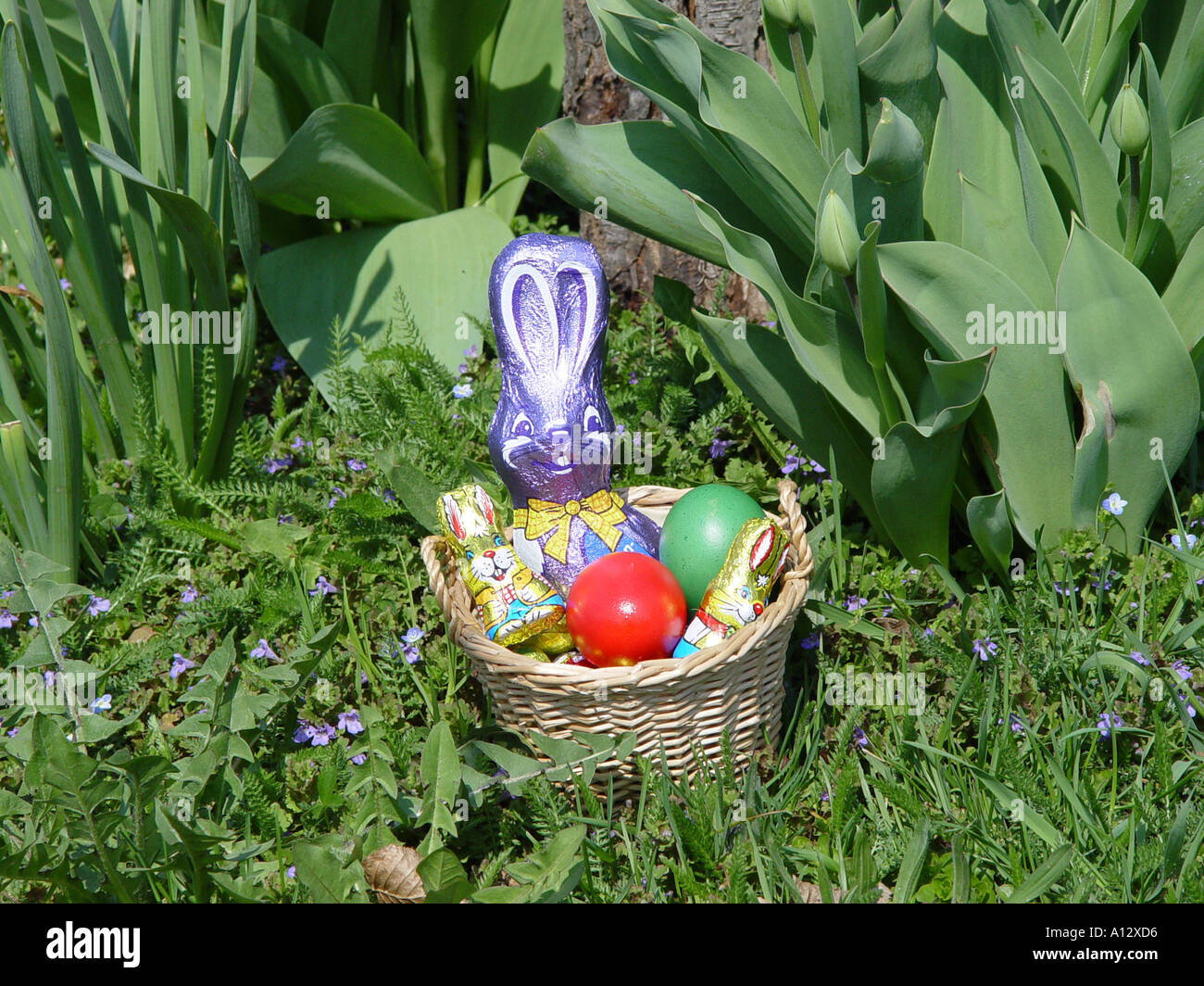 Kaninchen nest hi-res stock photography and images - Alamy