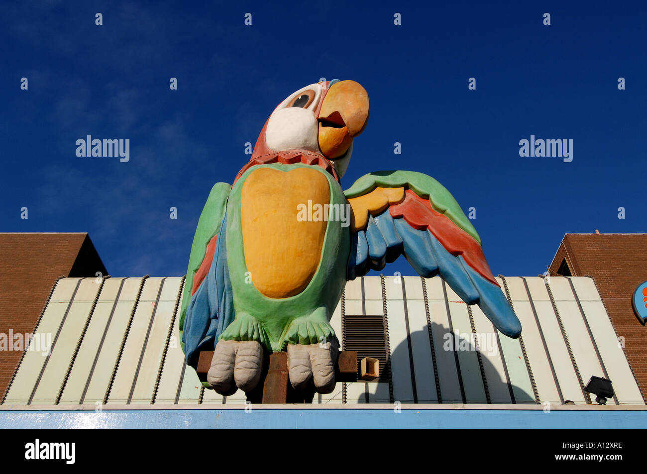 Giant Parrot Blackpool Lancashire United Kingdom of Great Britain Stock ...