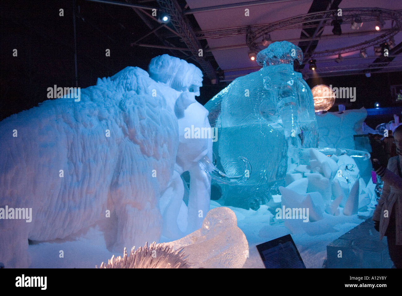 Lubeck at christmas ICE World exhibition of giant ice statues of animal ...