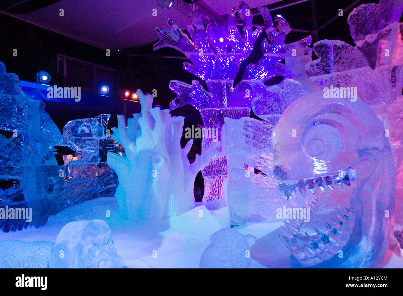 Lubeck at christmas ICE World exhibition of giant ice statues of animal ...