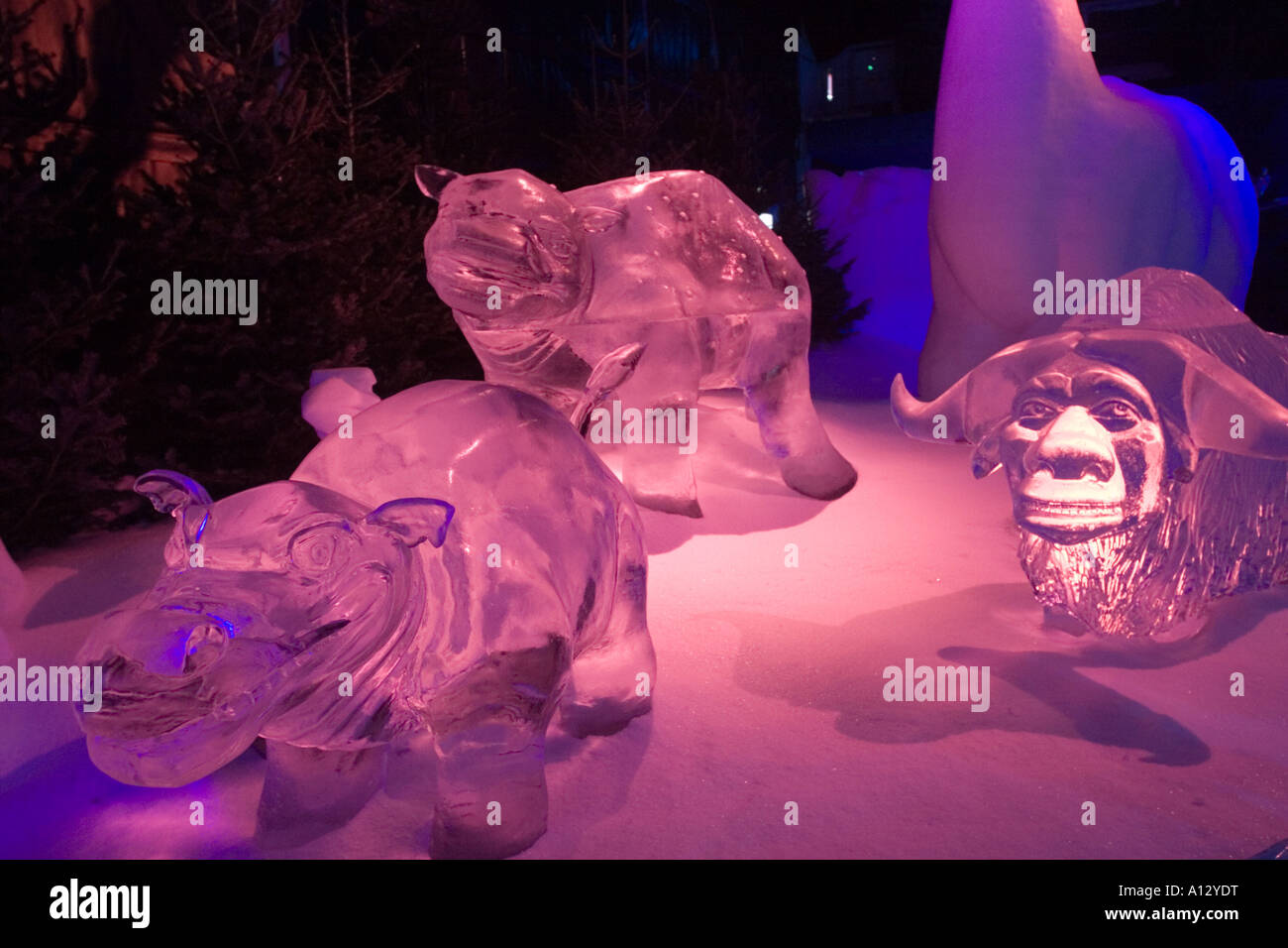 Lubeck at christmas ICE World exhibition of giant ice statues of animal ...