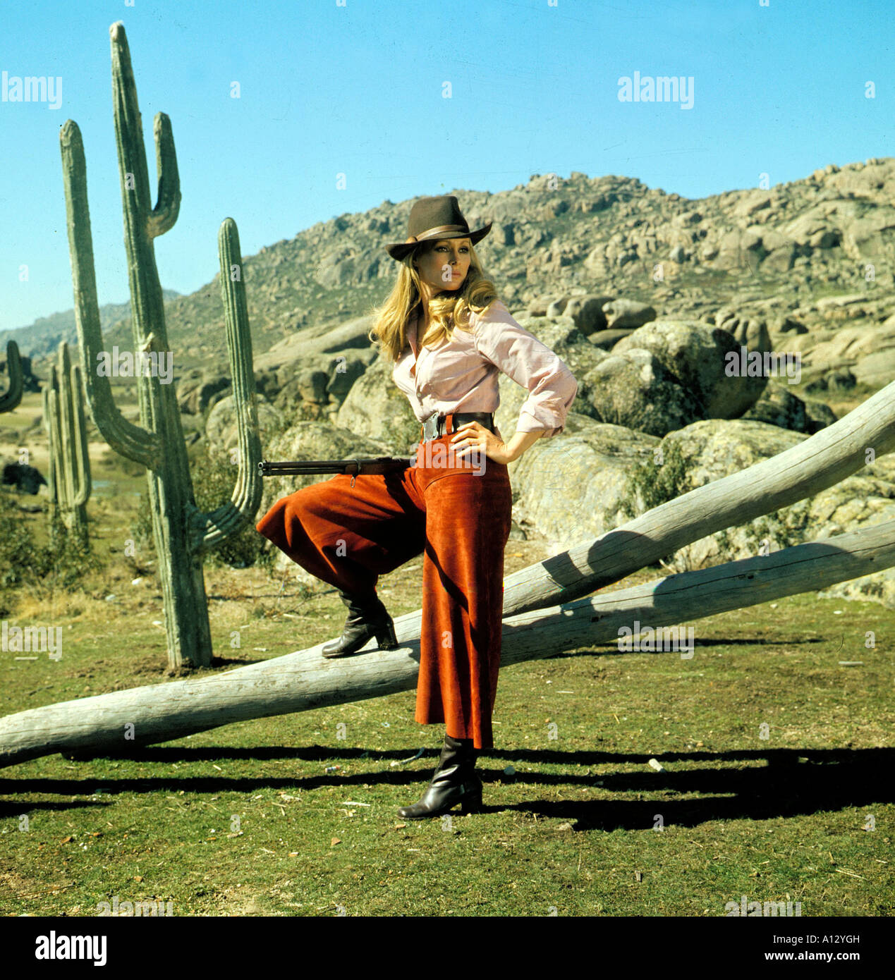 Terence young ursula andress hi-res stock photography and images - Alamy