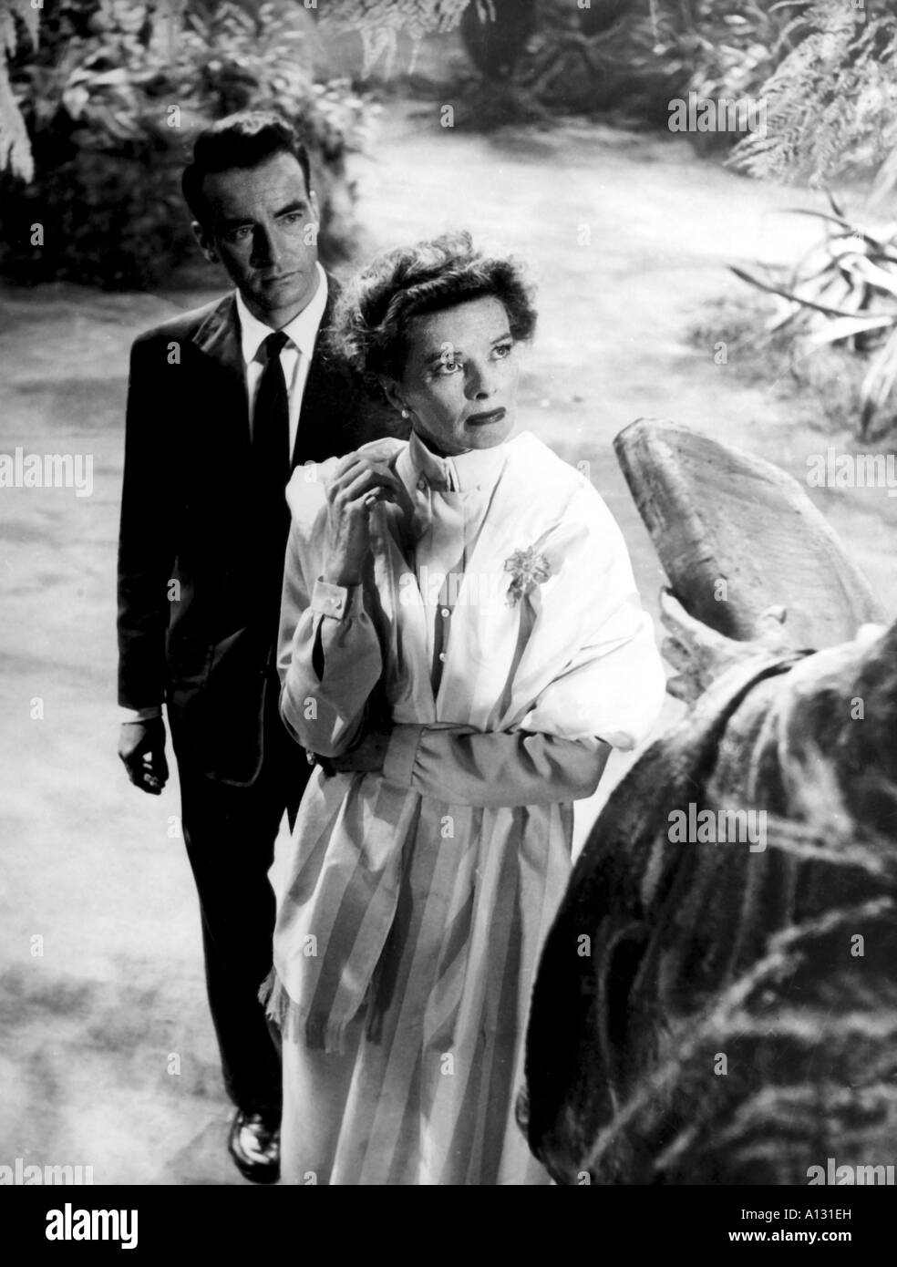 Suddenly, last summer (1959) hi-res stock photography and images - Alamy