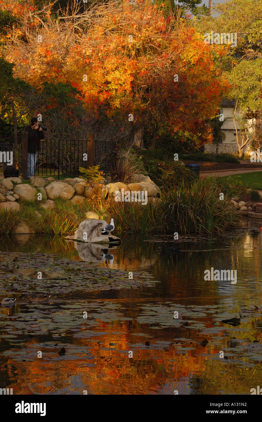 Alice Keck Park Stock Photo - Alamy