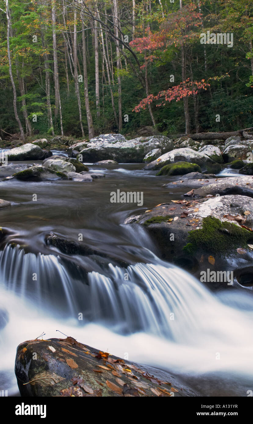 Fall stream in the Great Smoky Mountains Stock Photo - Alamy