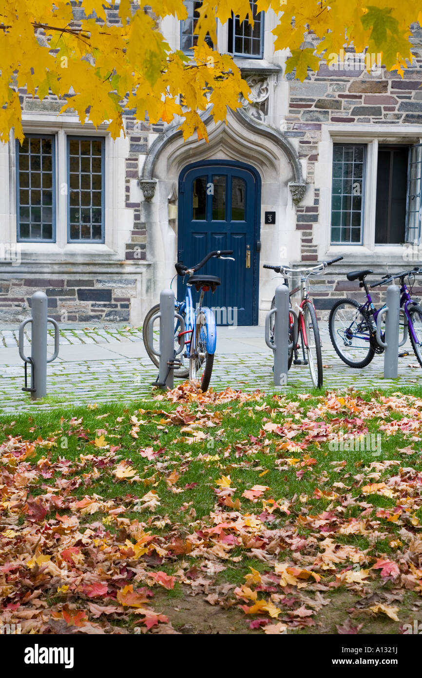 University Campus in Fall Colors Stock Photo - Alamy