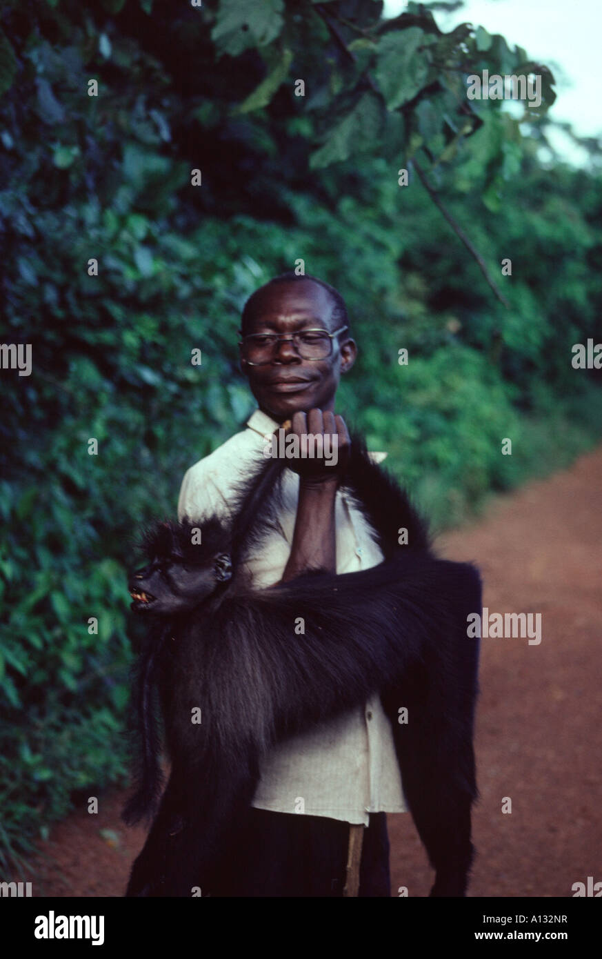 Monkey hunt hi-res stock photography and images - Alamy