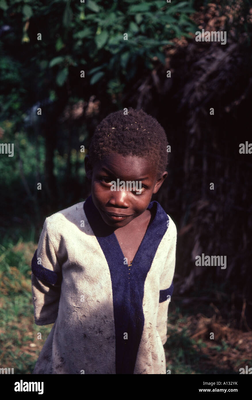 Pygmies congo hi-res stock photography and images - Alamy