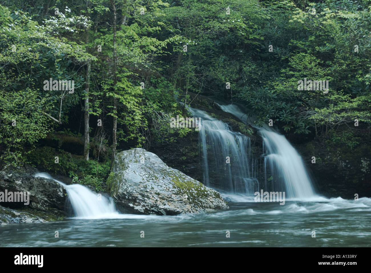Road side waterfall in the Great Smoky Mountains Stock Photo - Alamy