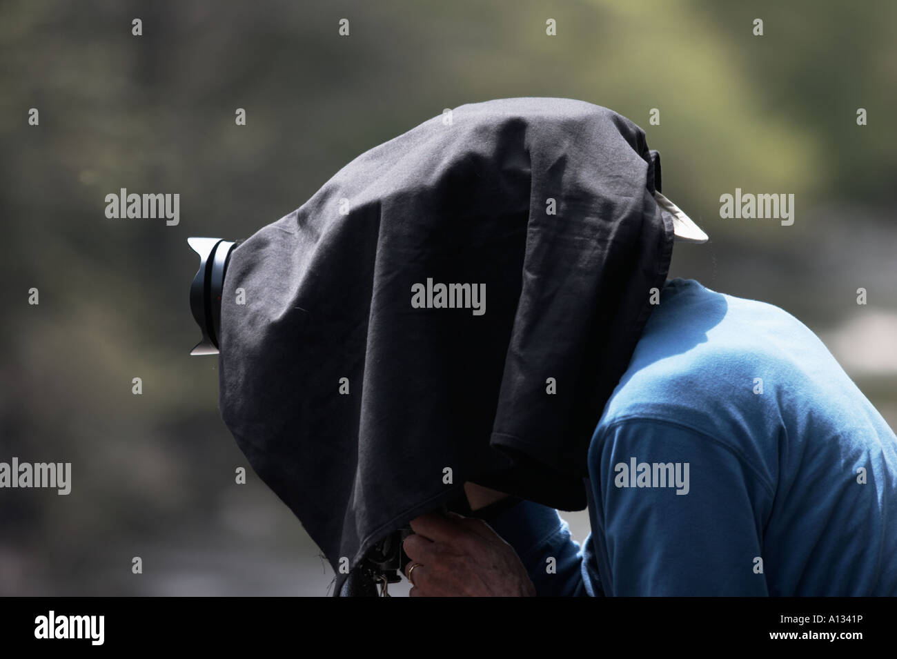 Photographer under a hood looking through the camera Stock Photo - Alamy
