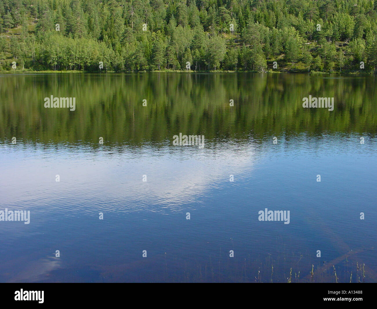 Nordmarka hi-res stock photography and images - Alamy