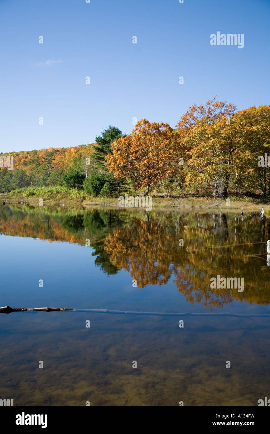Fall Foliage in Acadia National Park Stock Photo - Alamy