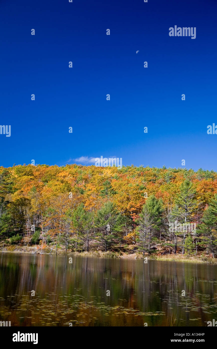 Fall Foliage in Acadia National Park Stock Photo - Alamy