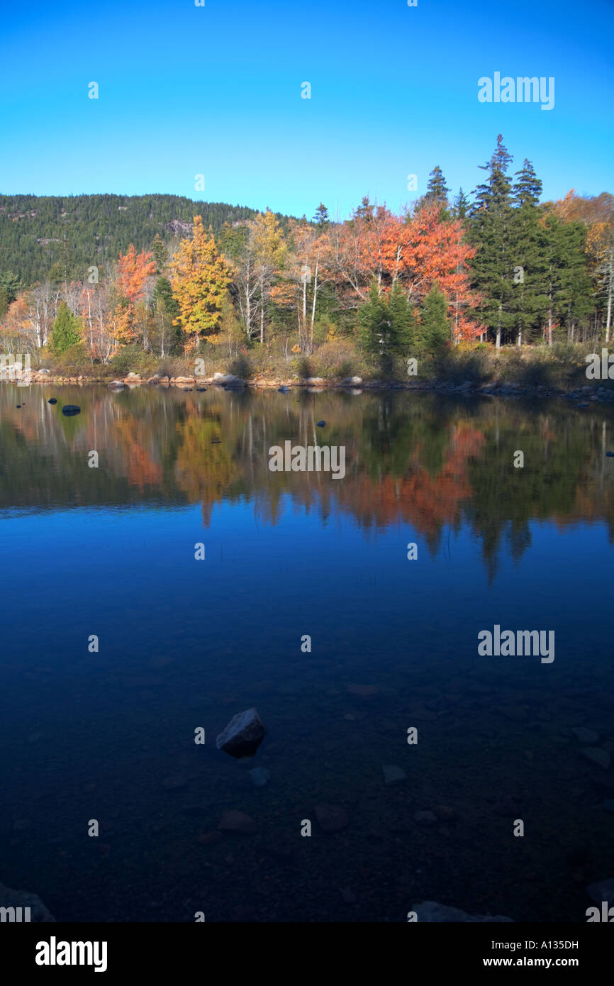 Brilliant Fall Color Reflection Stock Photo - Alamy