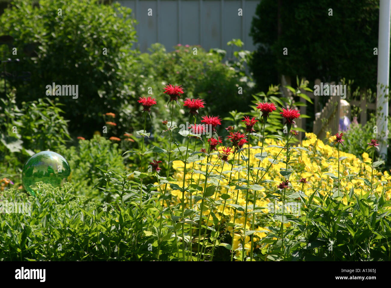 Beautiful flowers in garden Stock Photo - Alamy