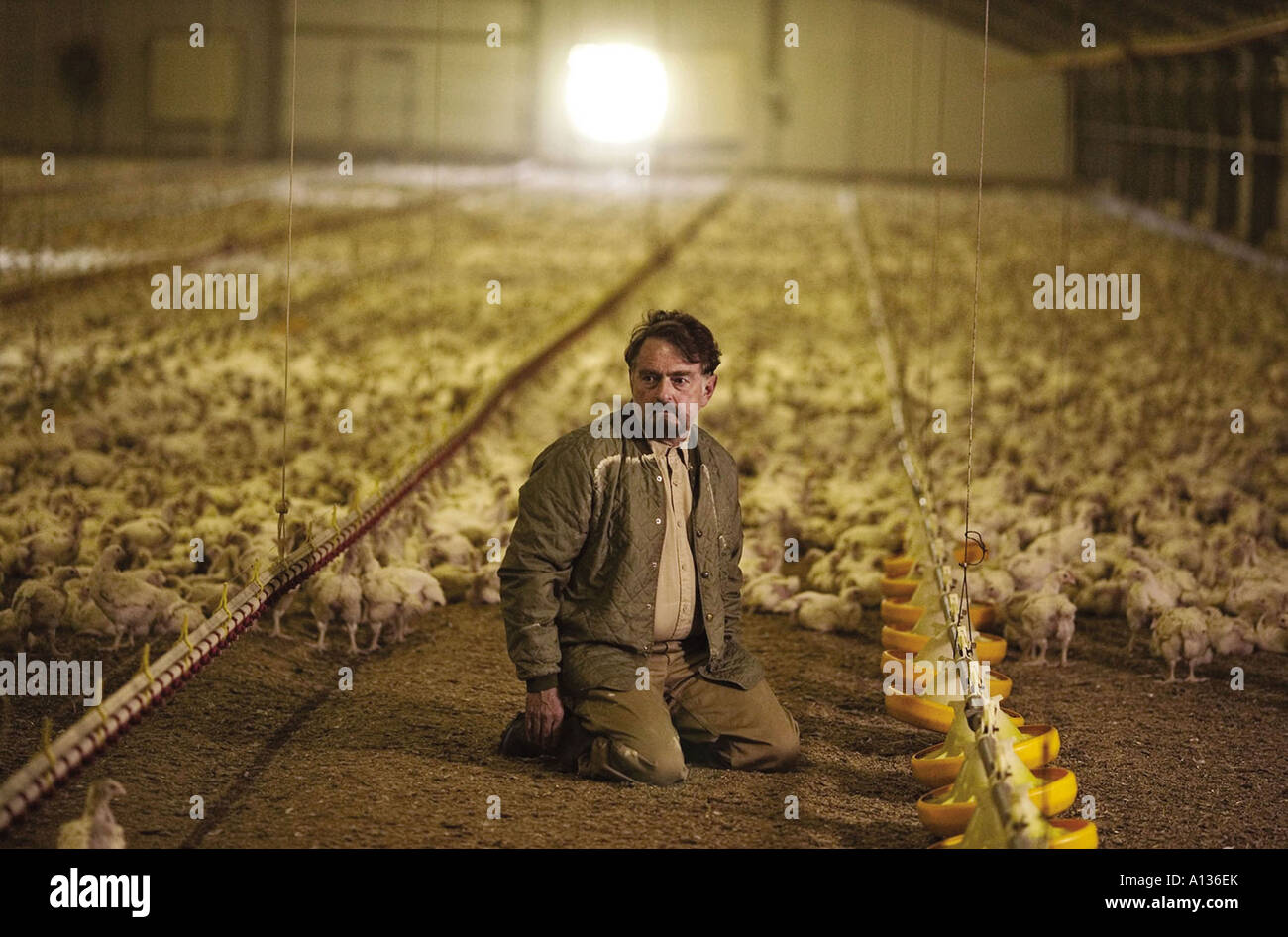 Villa paranoia Year 2004 Director Erik Clausen Frits Helmuth Stock ...