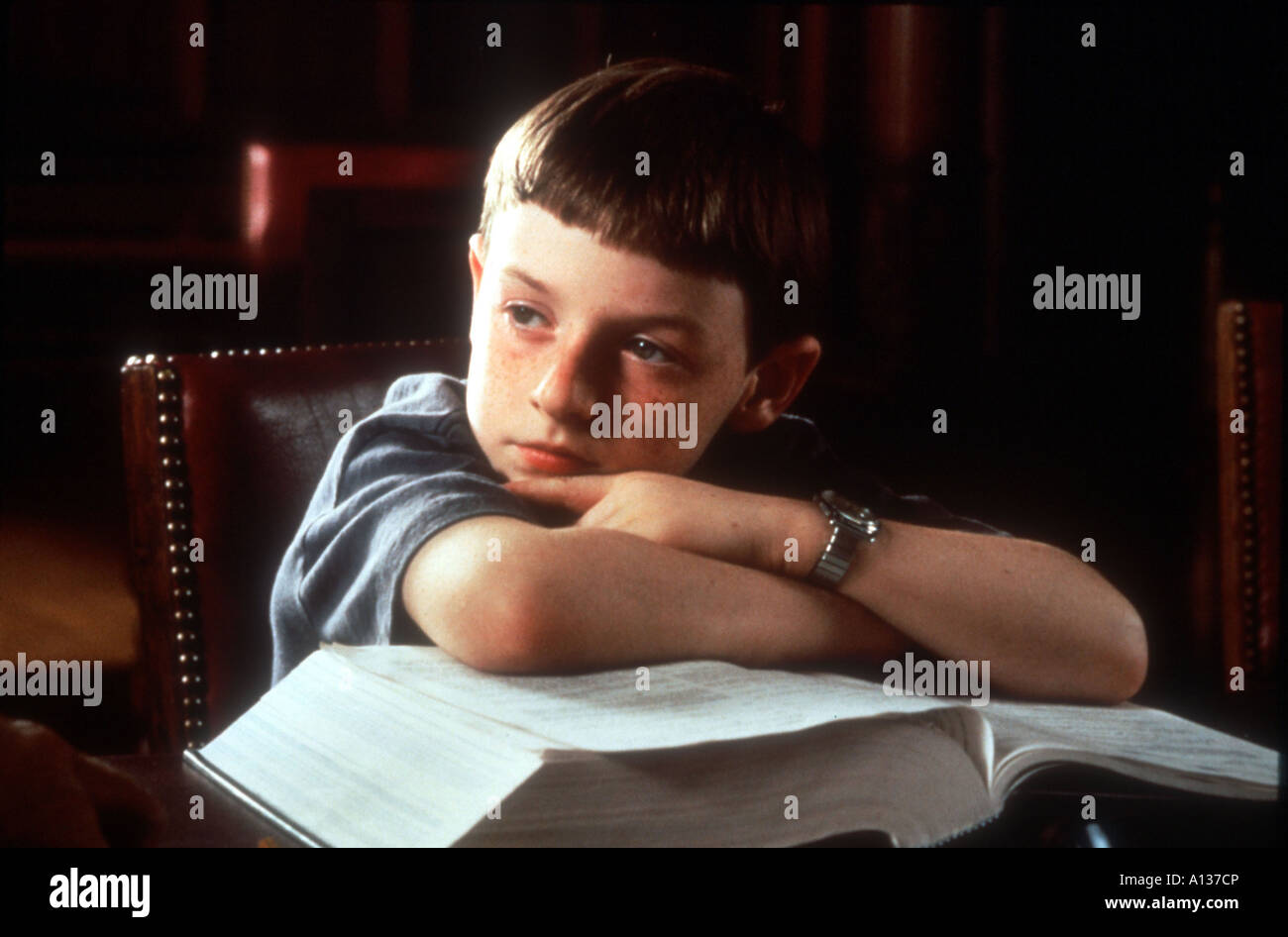 Little man tate 1991 Jodie Foster Adam Hann Byrd Stock Photo - Alamy