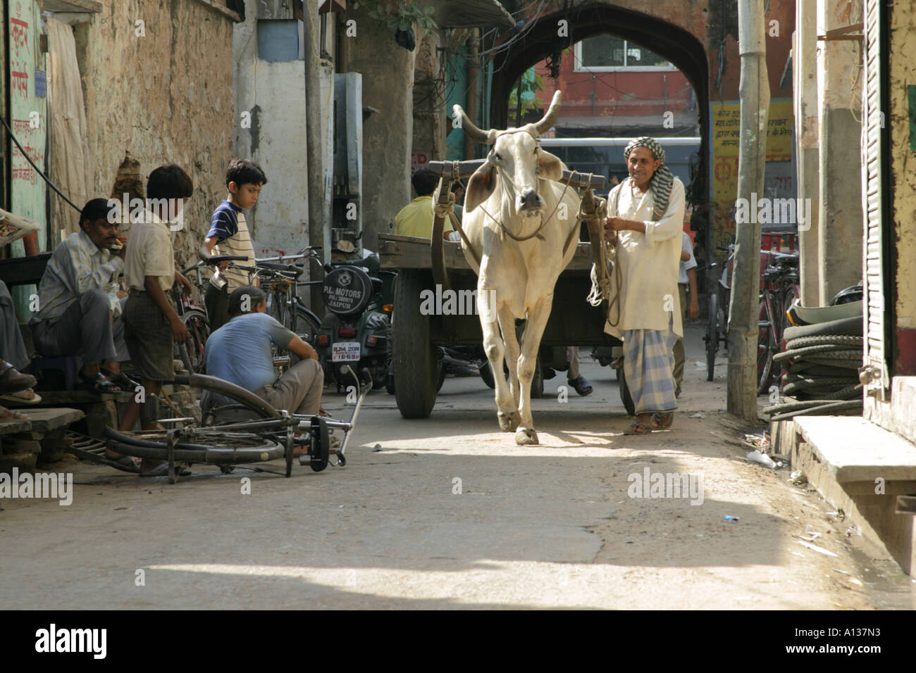 Traditional transport of goods, India Stock Photo - Alamy