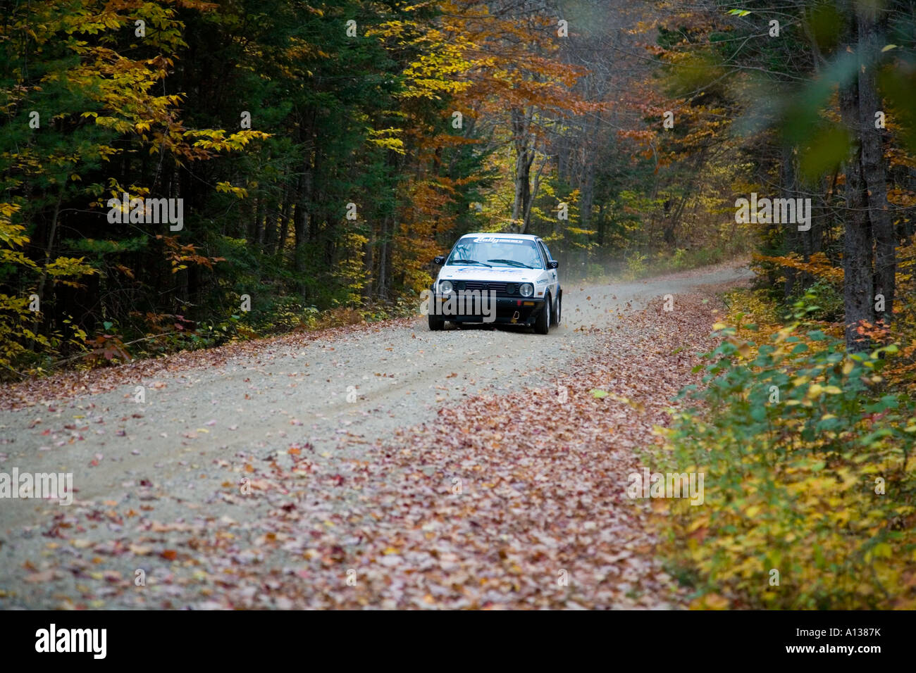 Rally Racing in Fall Stock Photo - Alamy