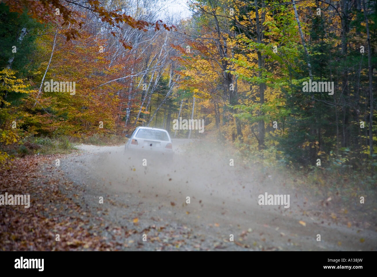 Rally Racing in Fall Stock Photo - Alamy