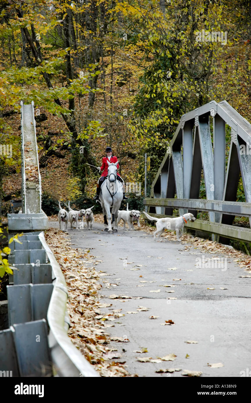 Foxhounds jumping hi-res stock photography and images - Alamy