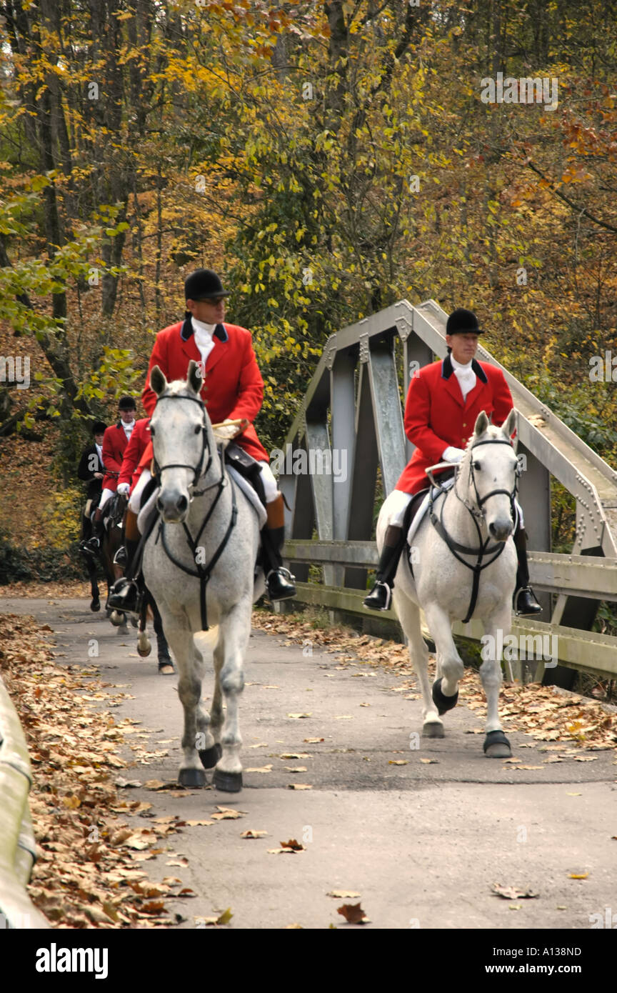 Huntsman horse horses ride hi-res stock photography and images - Alamy