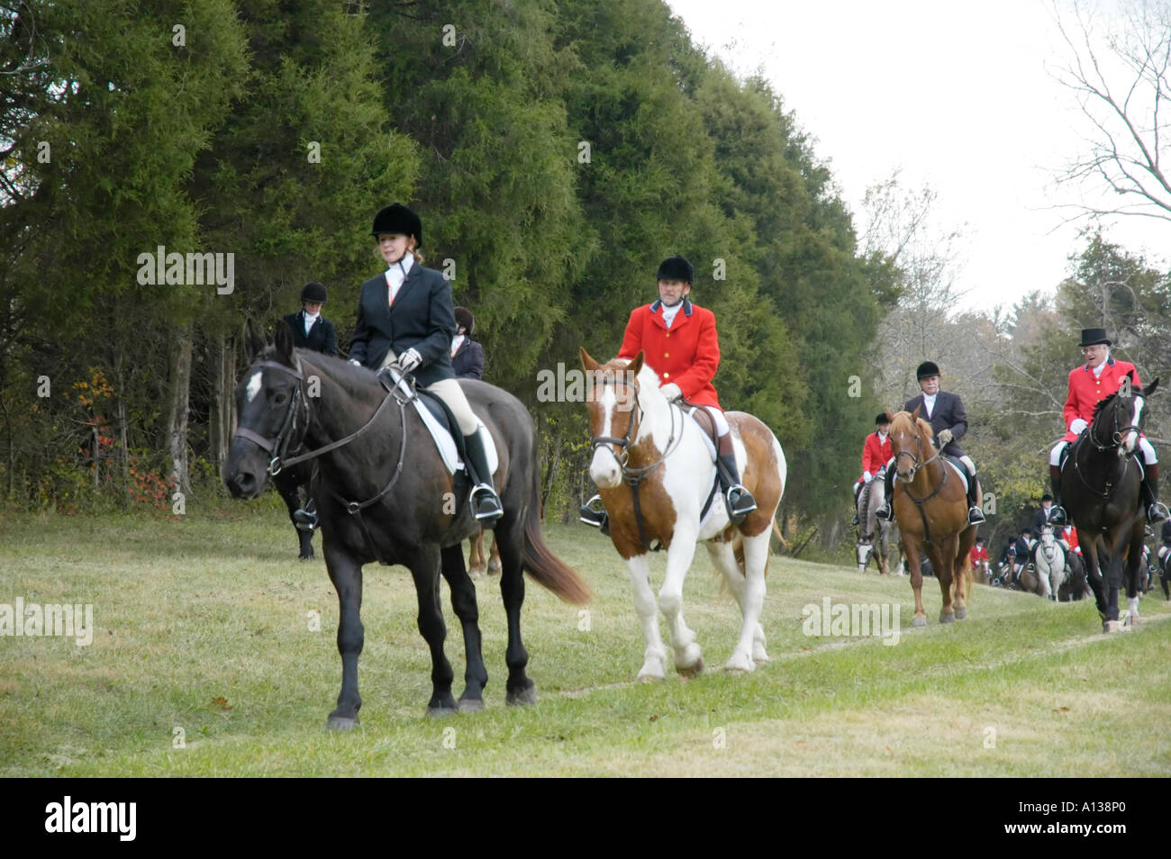 Mounted riders on way to the fox hunt Stock Photo - Alamy