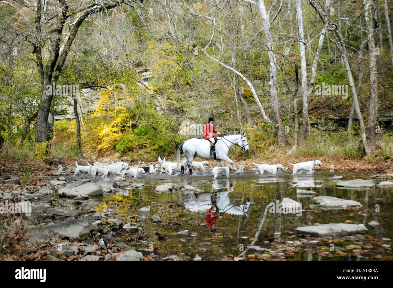 Female huntsman hi-res stock photography and images - Alamy