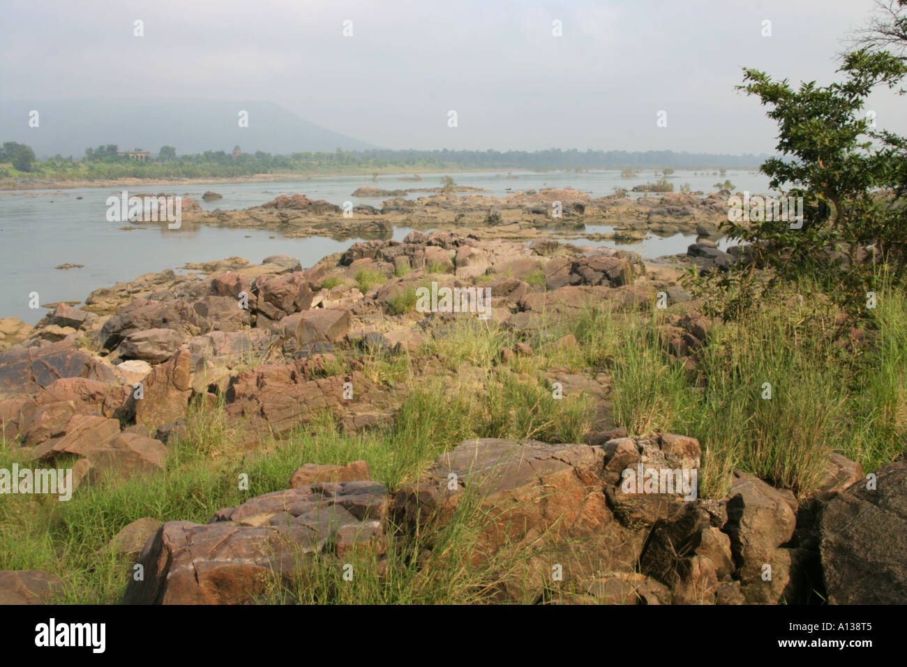 Panna National Park, India Stock Photo - Alamy