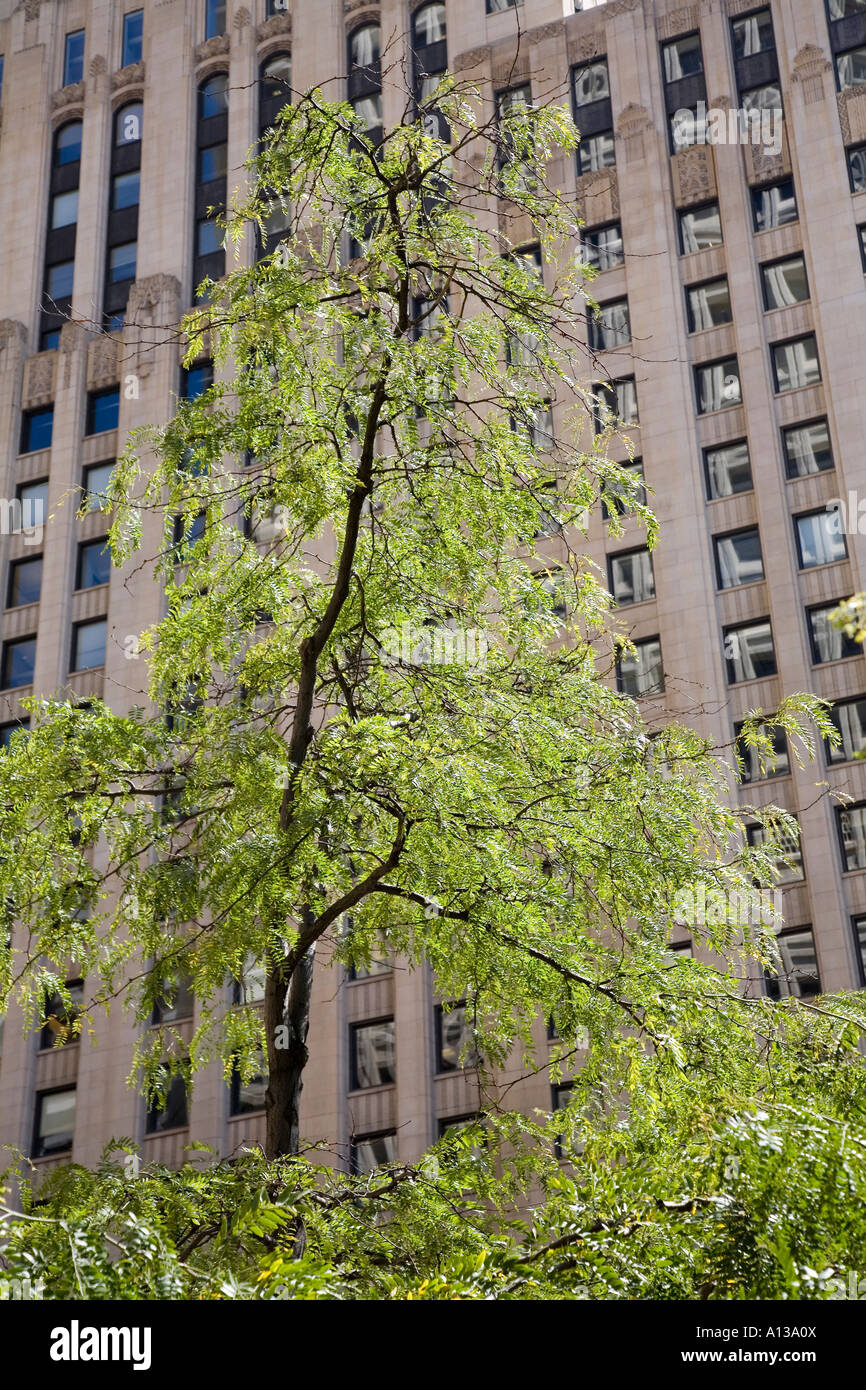 Washington town centre hi-res stock photography and images - Alamy