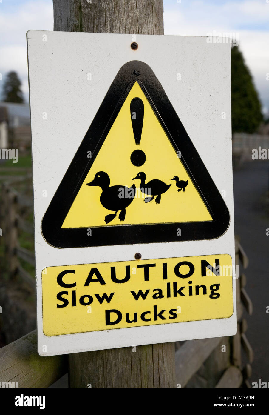 Notice sign slow walking hi-res stock photography and images - Alamy