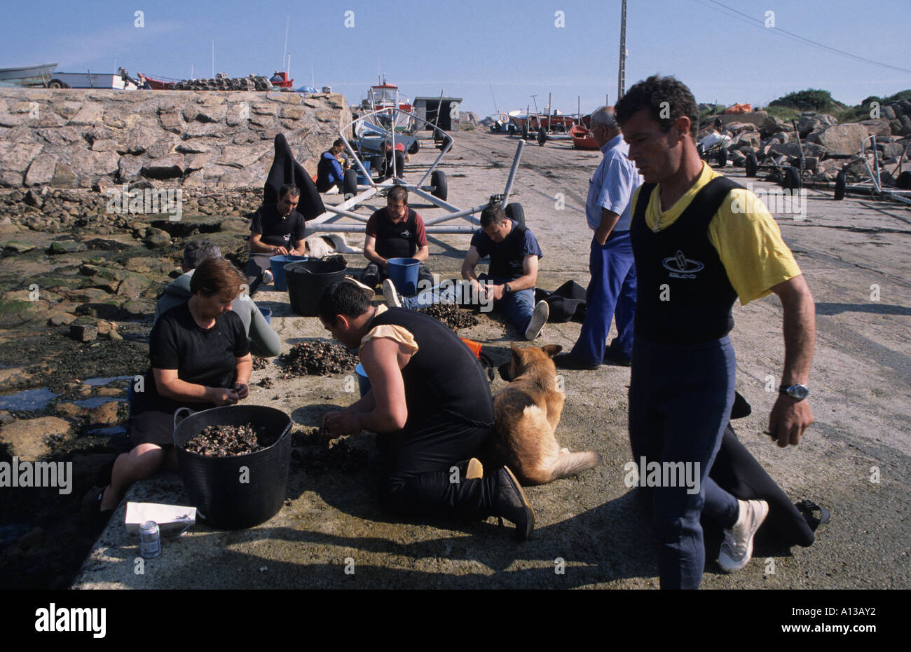 ´percebeiros´ hi-res stock photography and images - Alamy